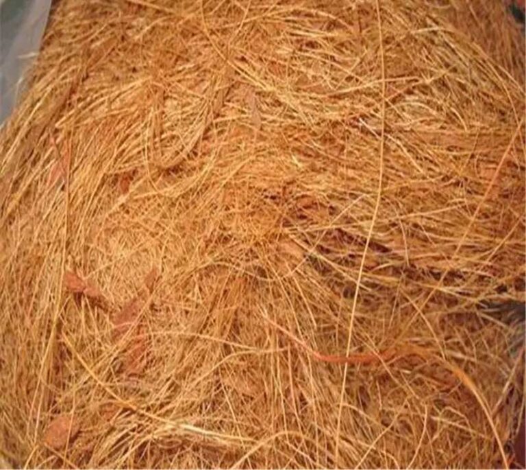 Automatic Coconut Husk Fiber Extractor Machine - Coconut Dehusking ...